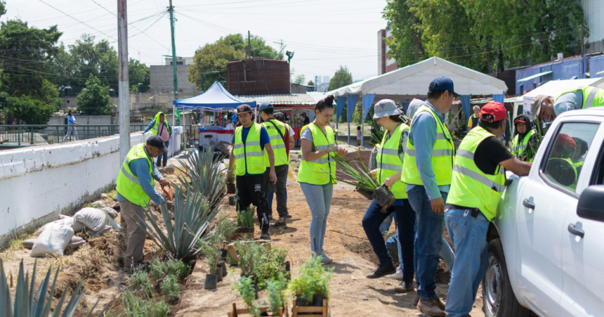 Estratégias experimentais de adaptação em Naucalpan: ações de ...